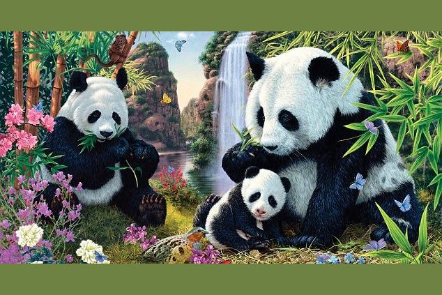 There Are 12 Hidden Pandas, How Fast Can You Find Them?