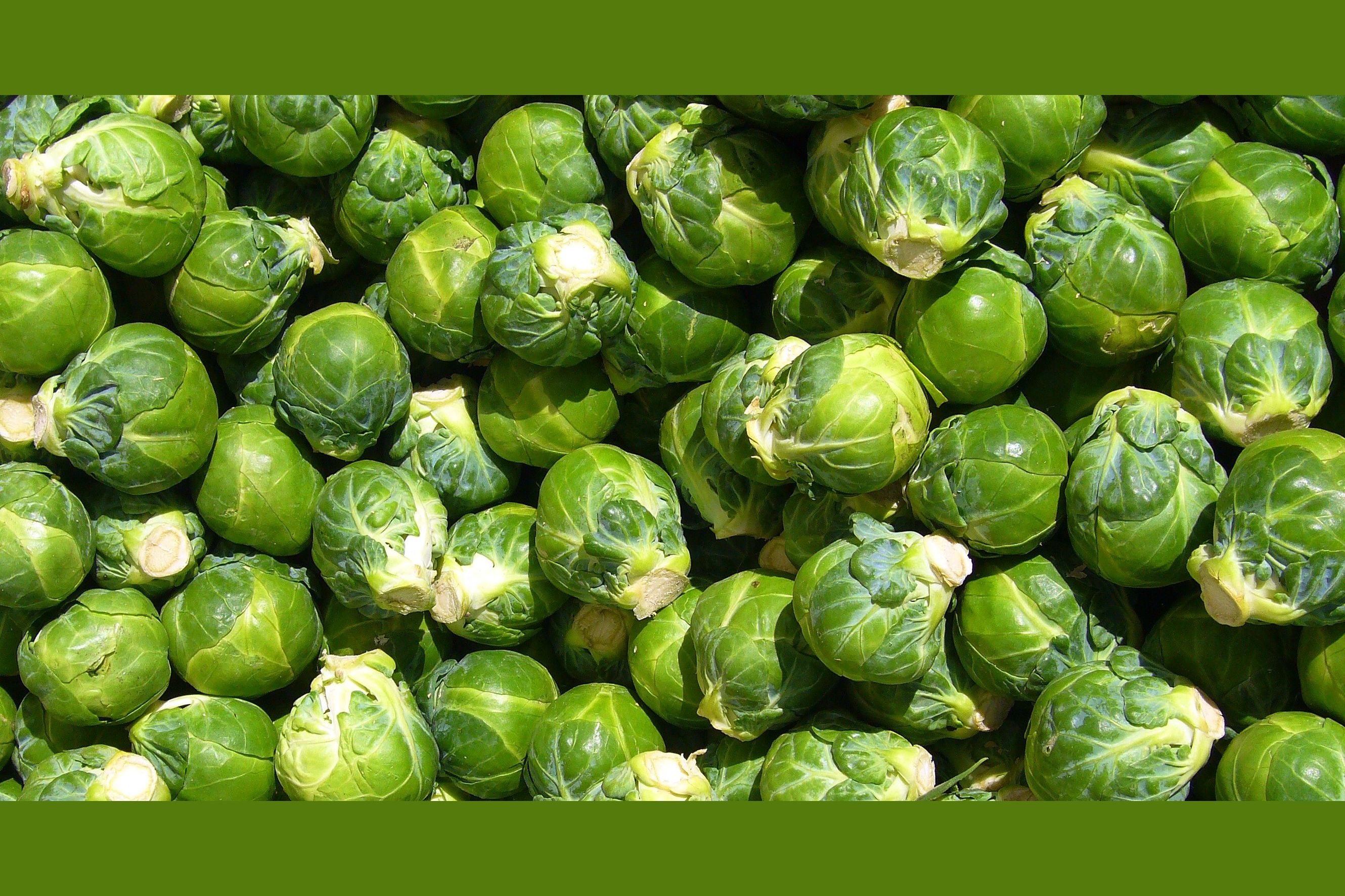 Would you eat chocolate covered Brussels sprouts?
