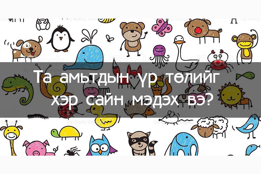 Quiz Та амьтдын үр төлийг хэр сайн мэдэх вэ