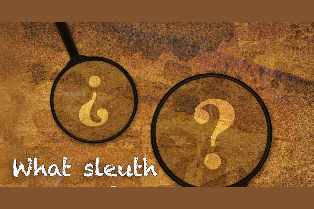 What Sleuth Are You
