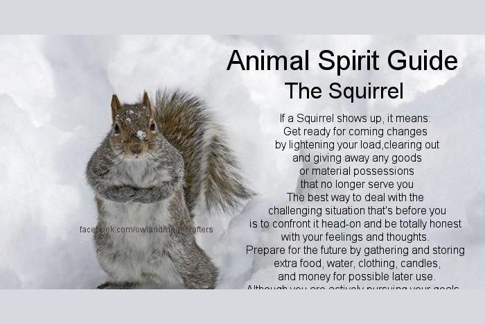 Whats your spirit animal personality quiz