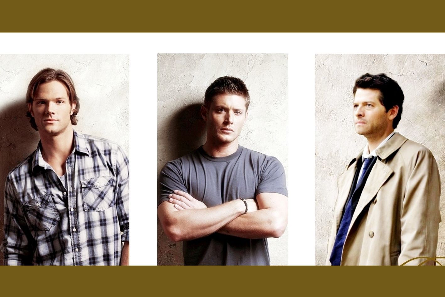 Team Free Will:Who are you?