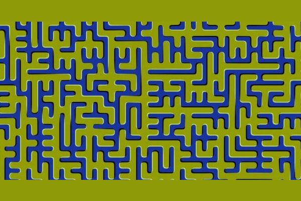 This Optical Maze Will Put Your Vision To The Ultimate Test!