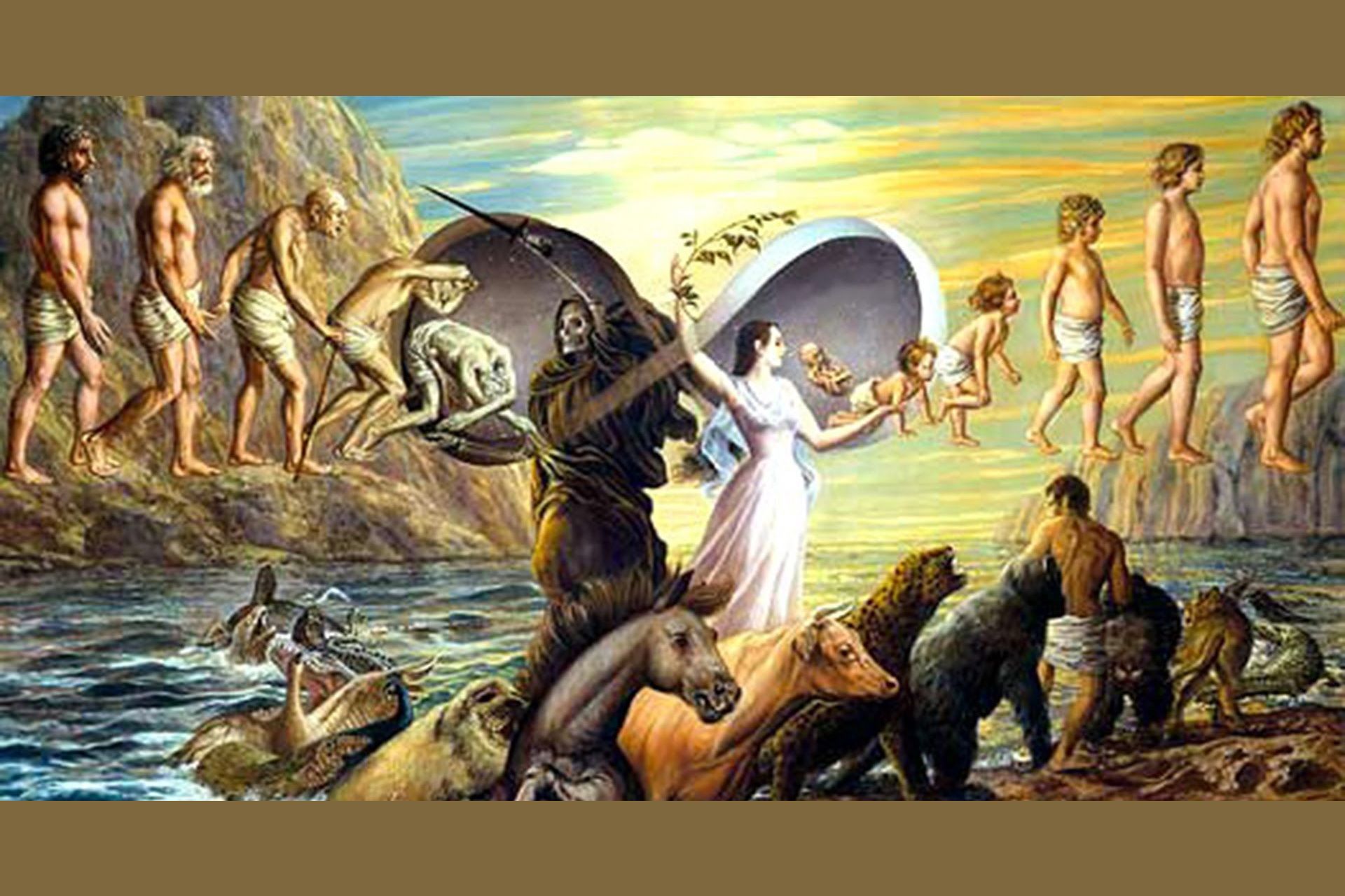 Did You Actually Live Any Past Lives?