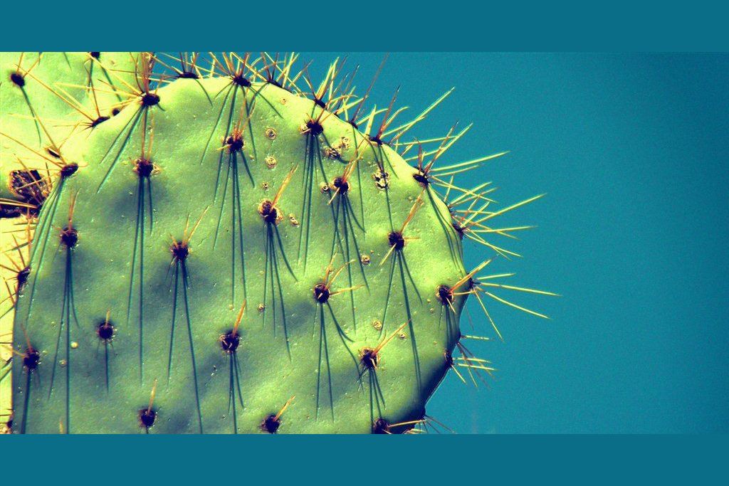 ¿Crees que conoces el léxico mexicano?