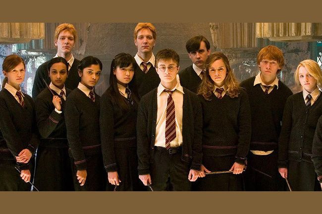 Which Hogwartz student's learning style is most like yours?