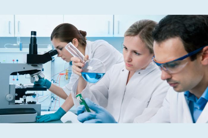 What kind of scientists are you?