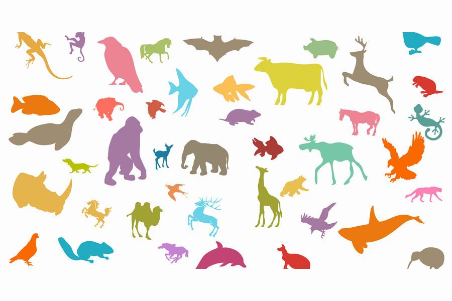 What Is Your Inner Animal