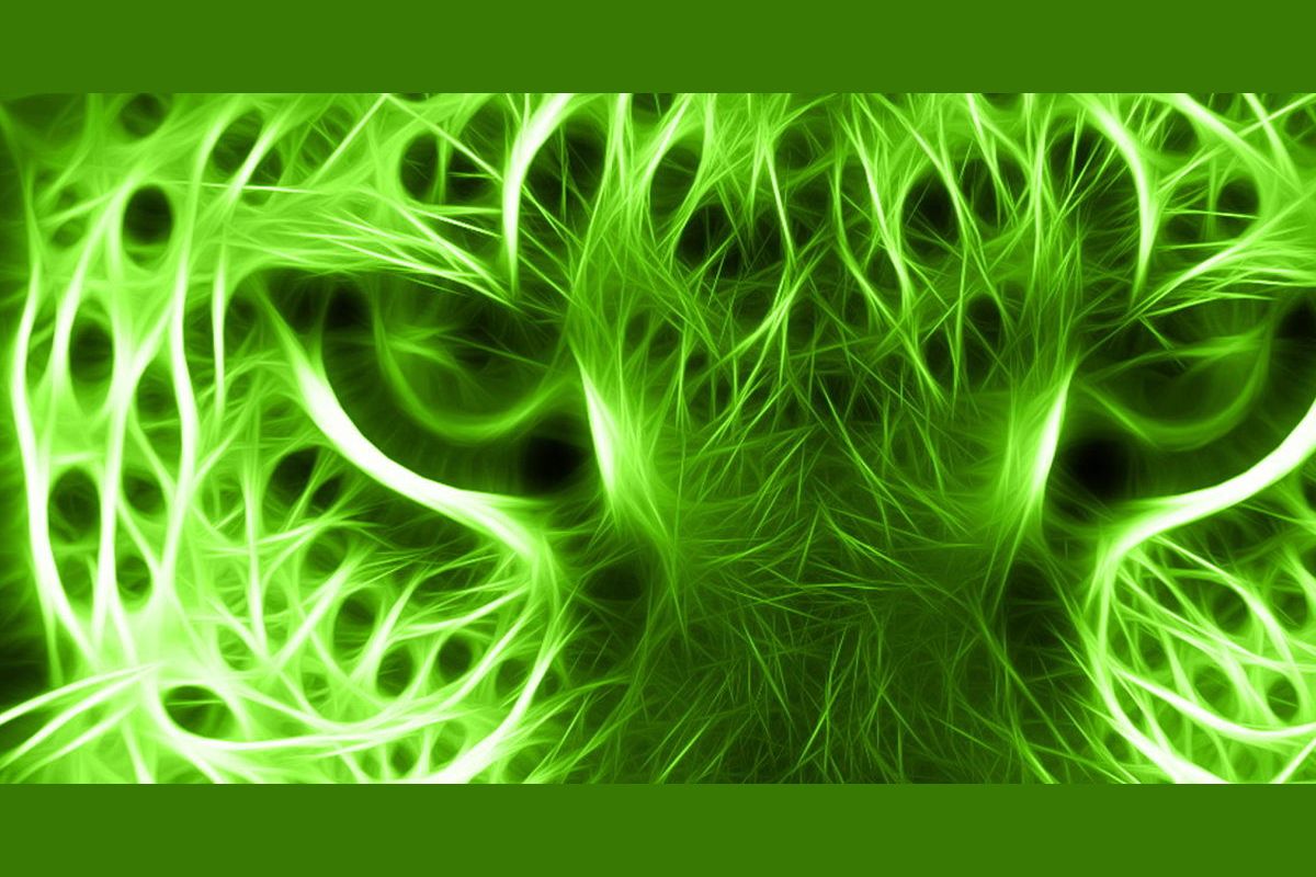 Know what kind of GREEN you are?