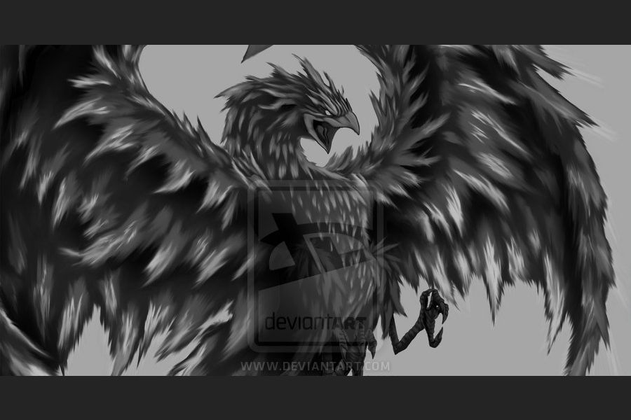 Which Type of Phoenix are You?