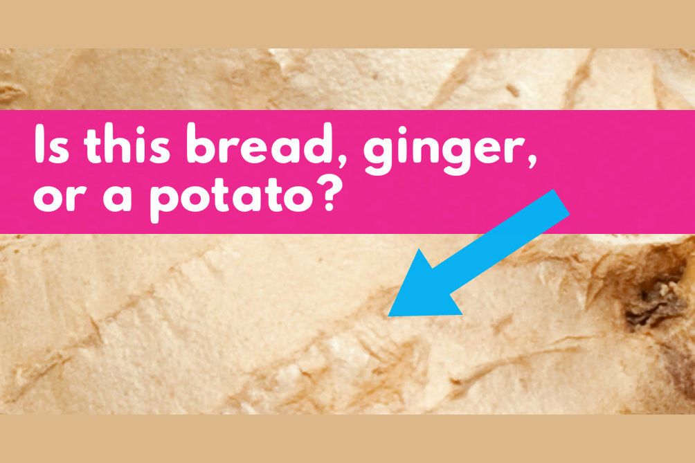 Can You Guess The Food By An Extreme Zoom-In?