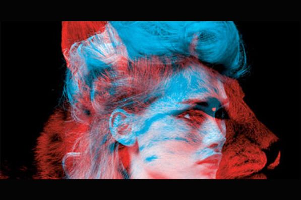 What Is Your Inner Animal?