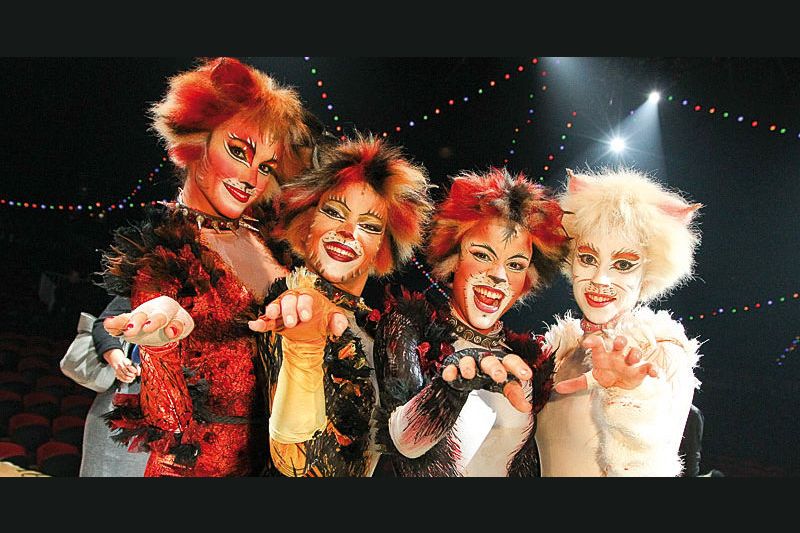 Do you know Jellicle Cats?
