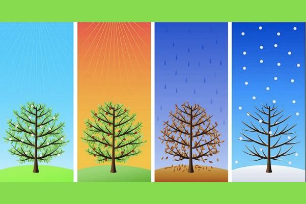 What season are you?