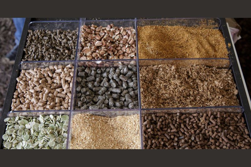 How well do you know your feed ingredients?