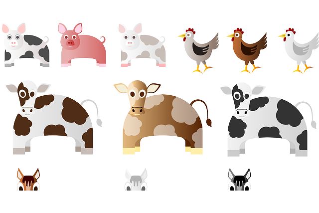 What farm animal best describes you?