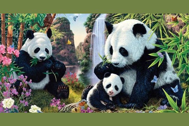 ¡Volvieron los pandas! Hay 12 escondidos en esta escena. ¿Los ves?