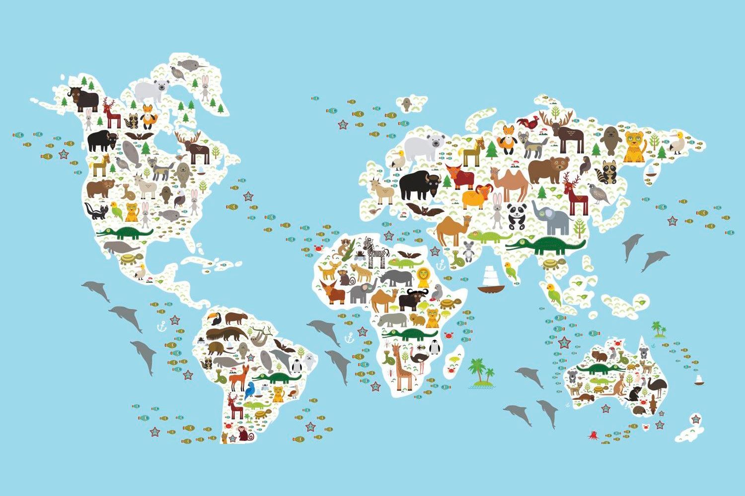 Which Continent Are These Wild Animals From which-continent-are-these-wild-animals-from