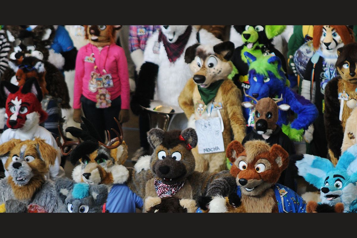 What furry type are you?