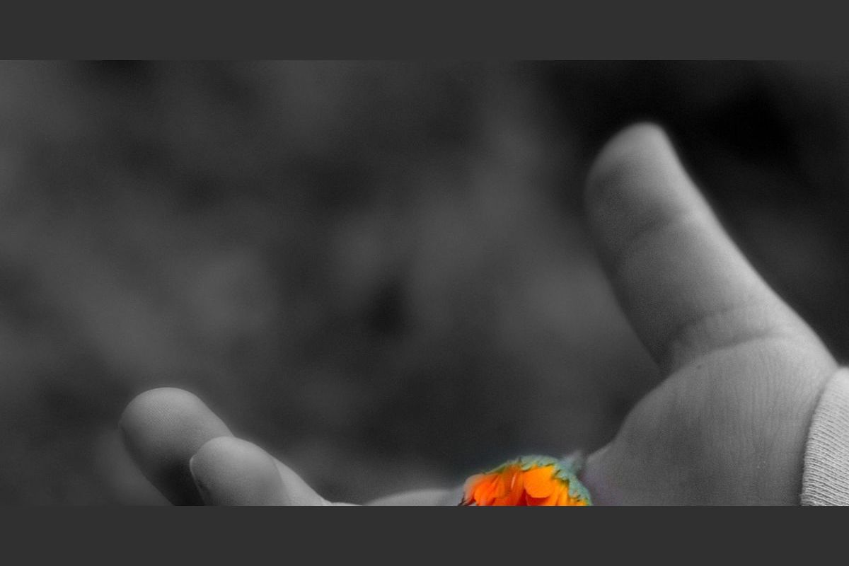 La línea simiesca de la mano determina tu personalidad