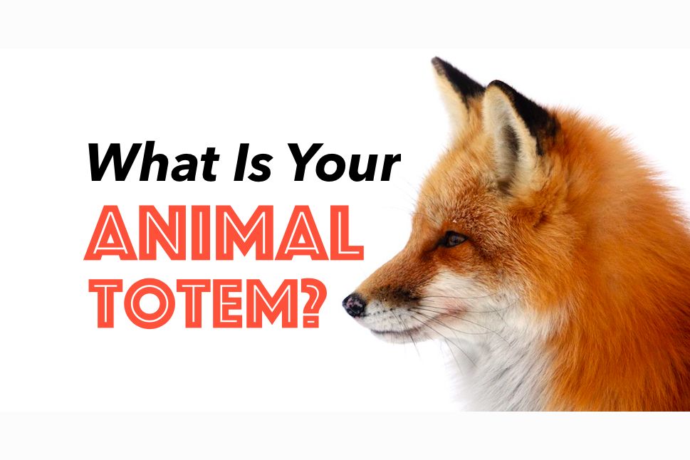 What Is Your Animal Totem?