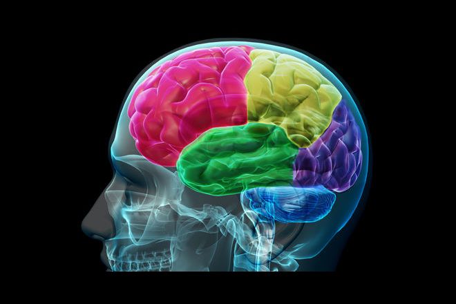 How Much Common Sense Do You Have?