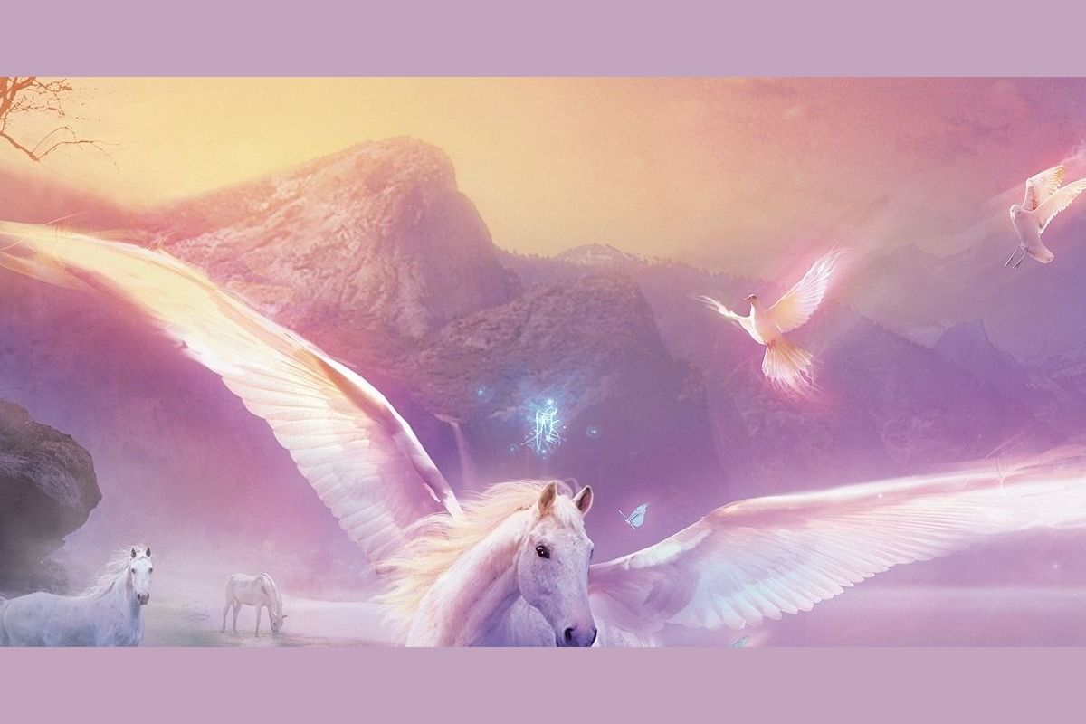 Are You Raven or Fluff?