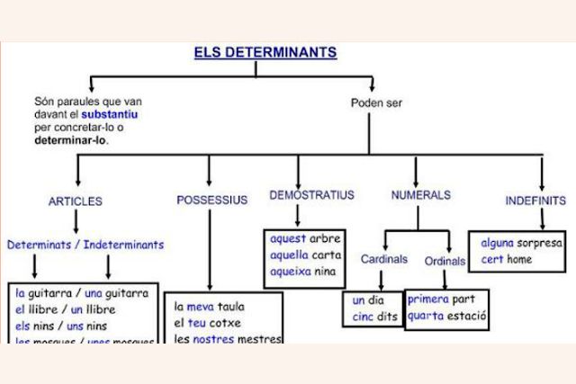 ELS DETERMINANTS POSSESSIUS