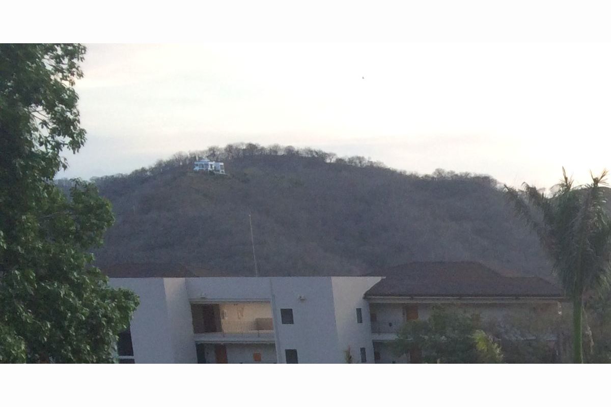 Which Goldenberg Are You?