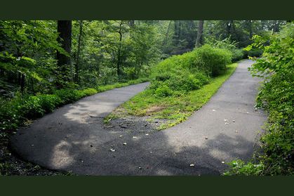 5 places to visit in Mount Joy