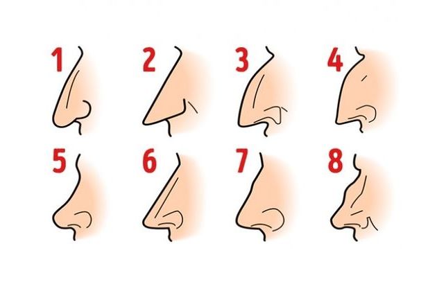 nose types shapes