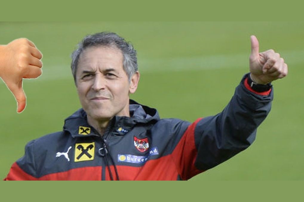 TOM - Der Koll(er)aps - Umfrage