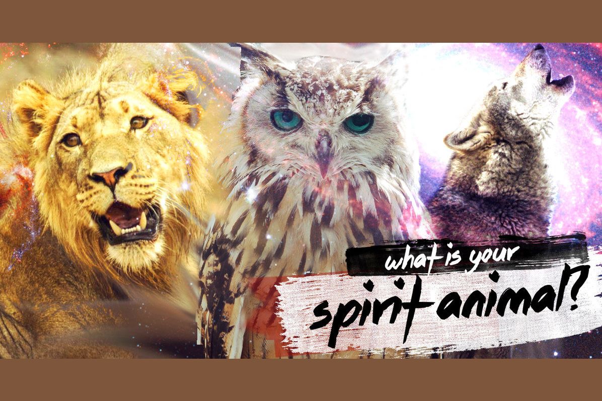 what is your spirt animal