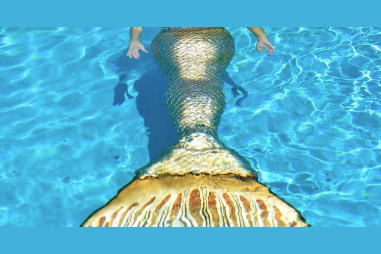 What type of mermaid are you