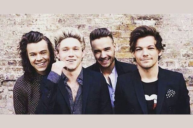 Which 1D boy on hiatus are you?