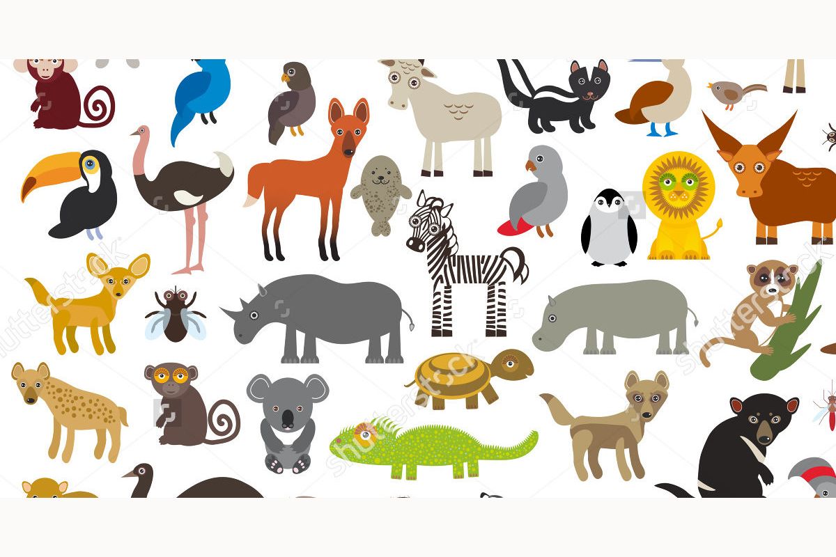 What is Your Animal Ancestry?