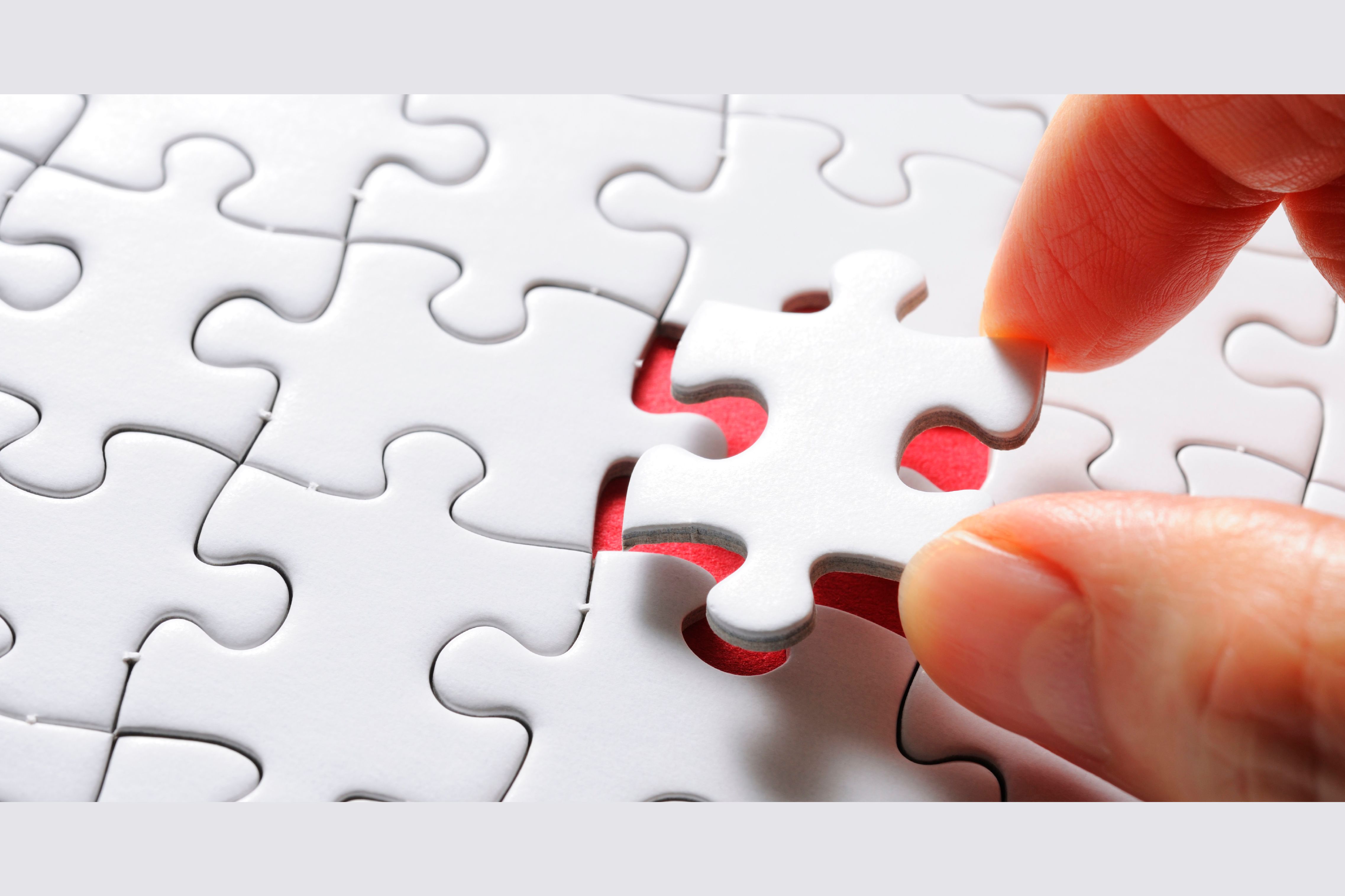 Can You Spot the Right Puzzle Piece?