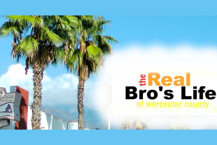 Which Bro's Life Character Are You?