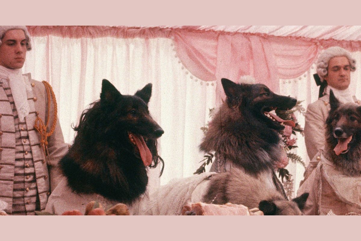 Movie quiz for May 3rd