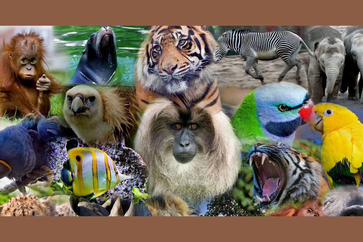 What Is Your Inner Animal?