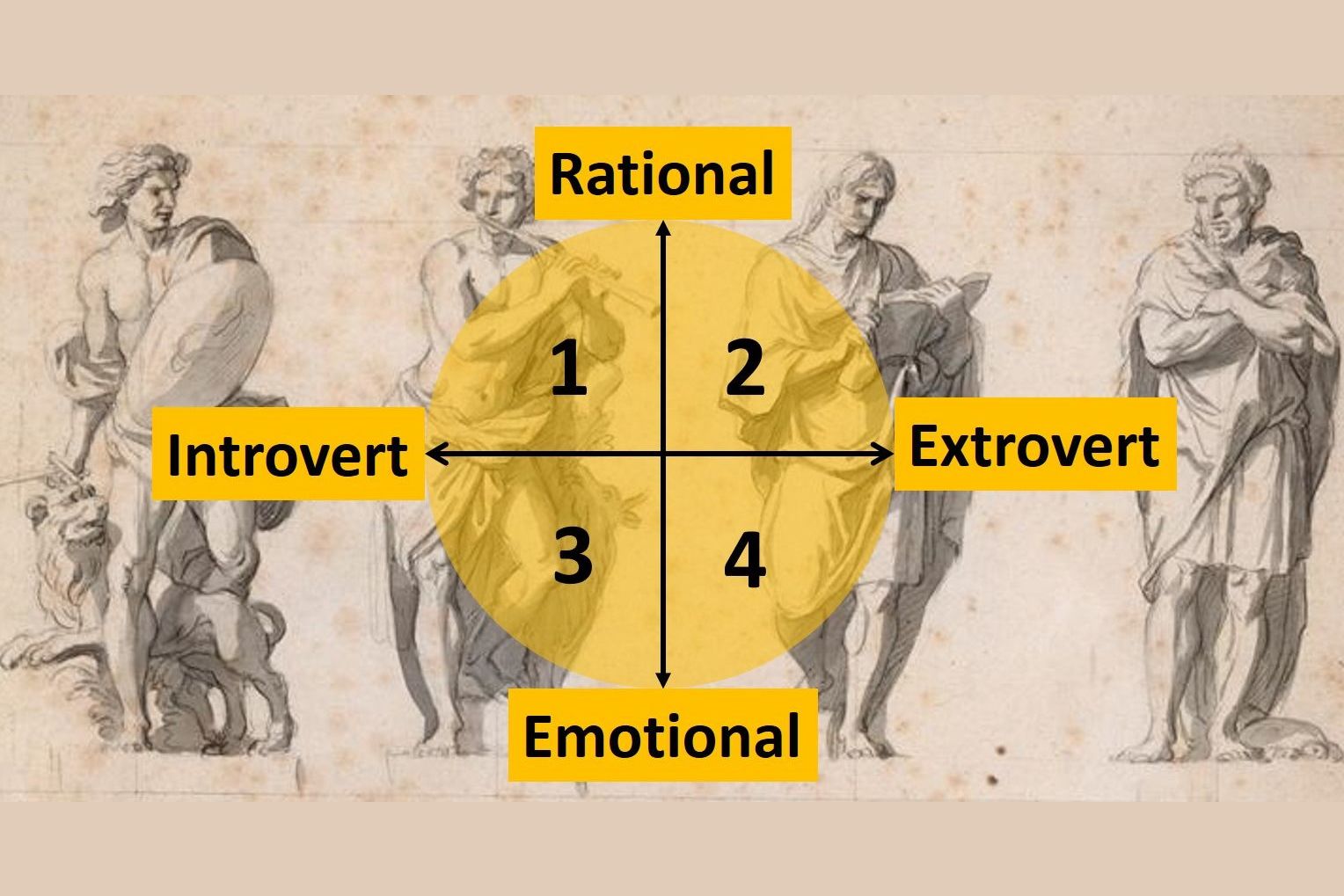 ¿Eres Emocional, Racional, Introvertido o Extrovertido?