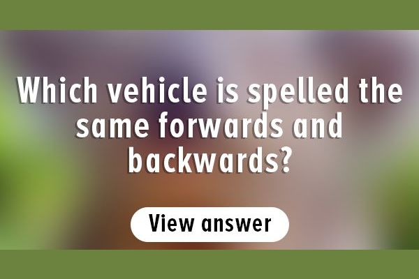 Which vehicle is spelled the same forwards and backwards?