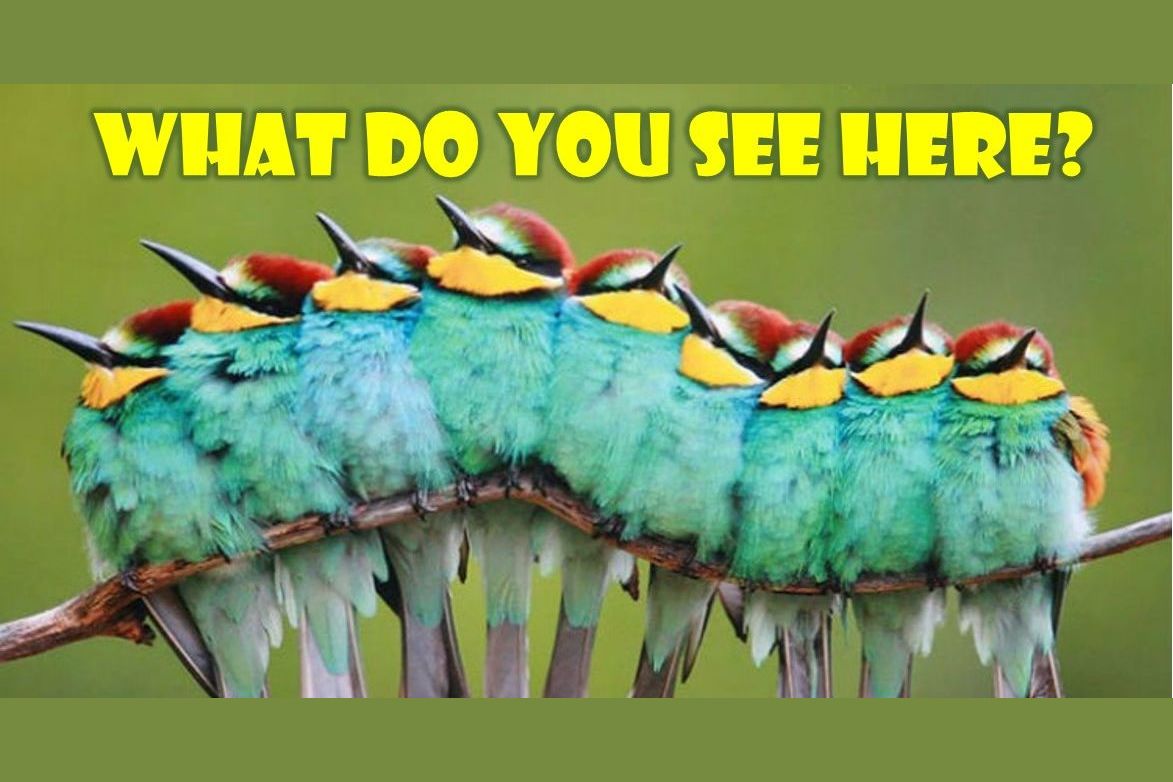 When Did You See It
