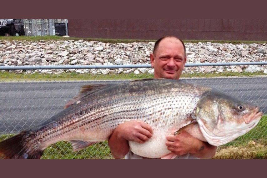OutdoorHub Quiz: Can You Spot the Photoshopped Fish?
