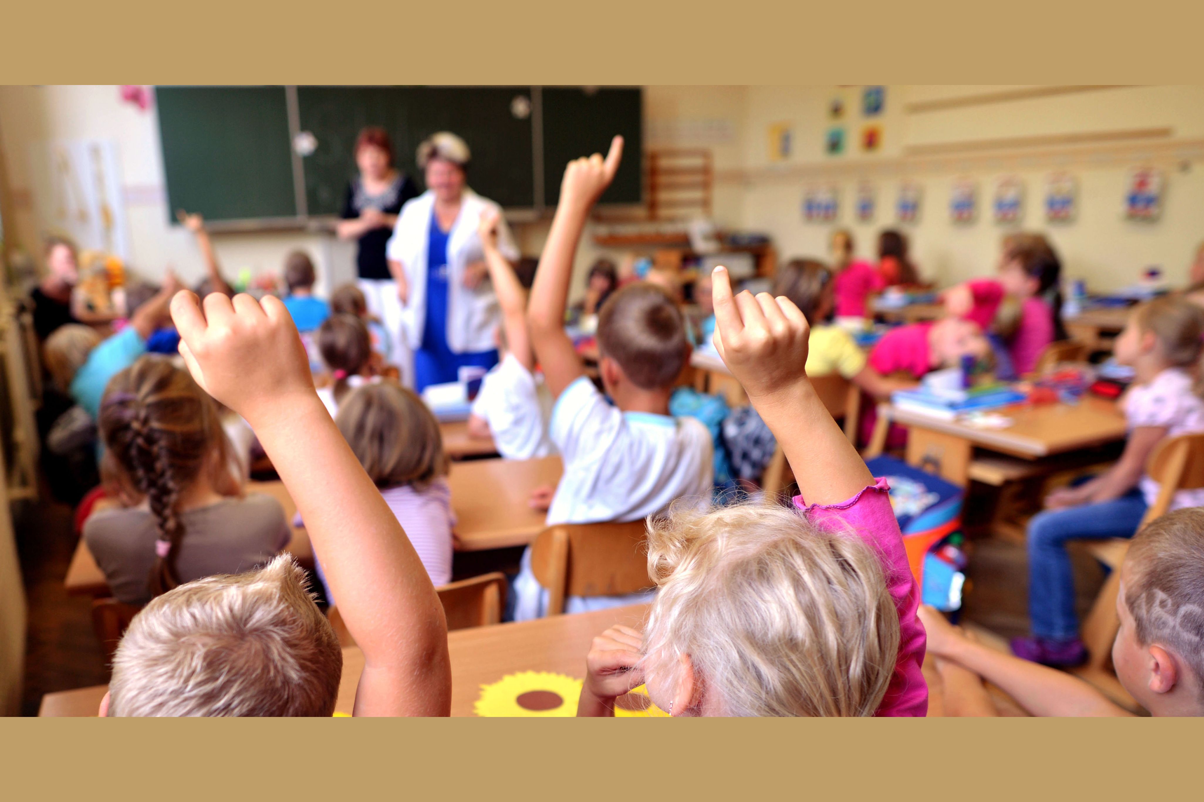 Welches neue Schulfach sollte in Deutschland eingeführt werden?