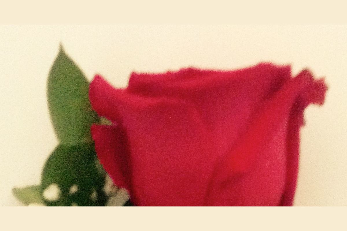 Which Disney princess would be your Girlfriend