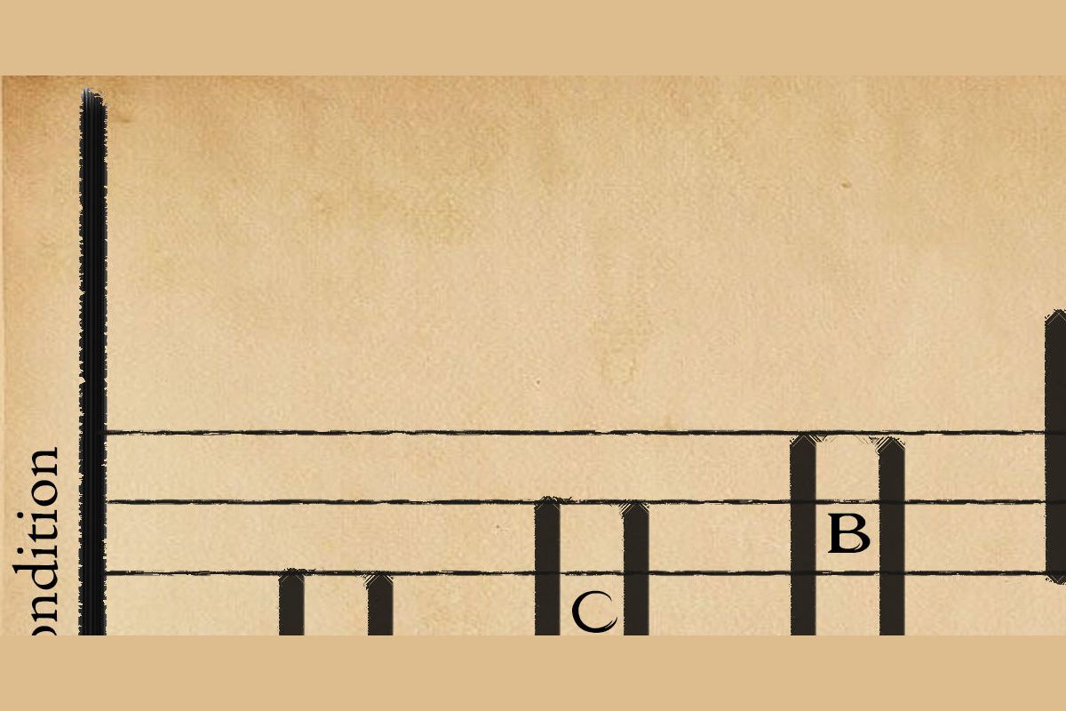 What is your Fighting Rank?