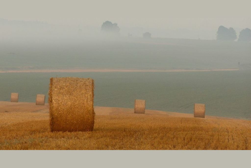 Are you a culchie or a townie?