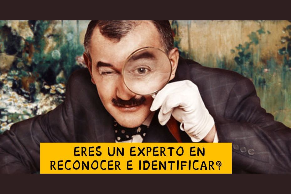 {TEST}¿Eres un experto en reconocer e identificar personas?