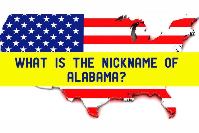 Only 5 In 100 Americans Know The Nicknames Of These 23 States